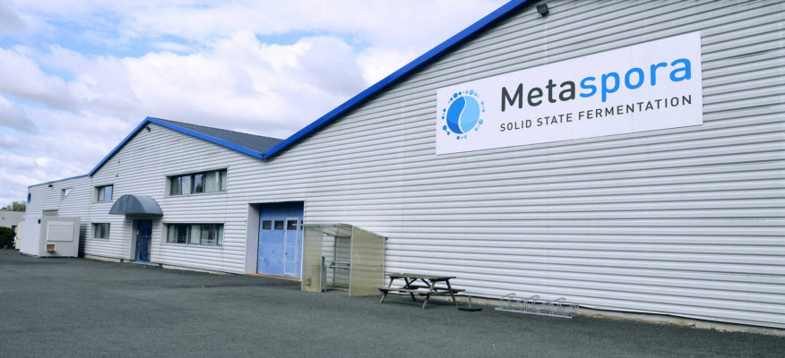 Contact us - Metaspora