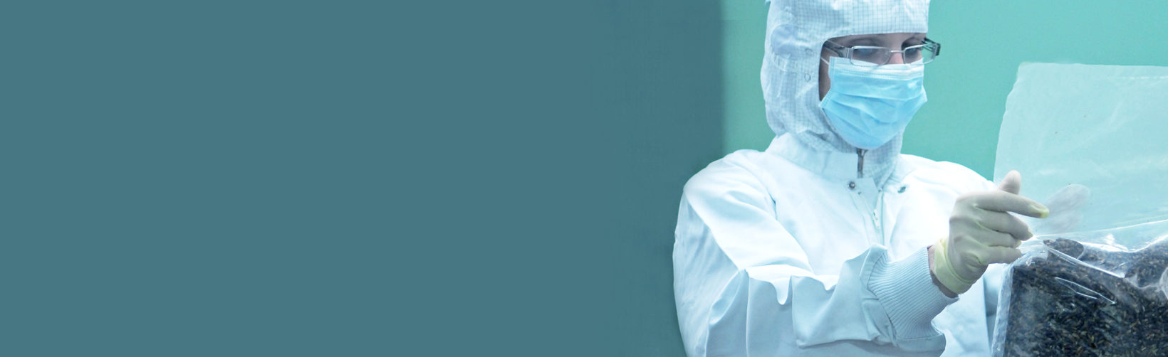 Expertise - Metaspora