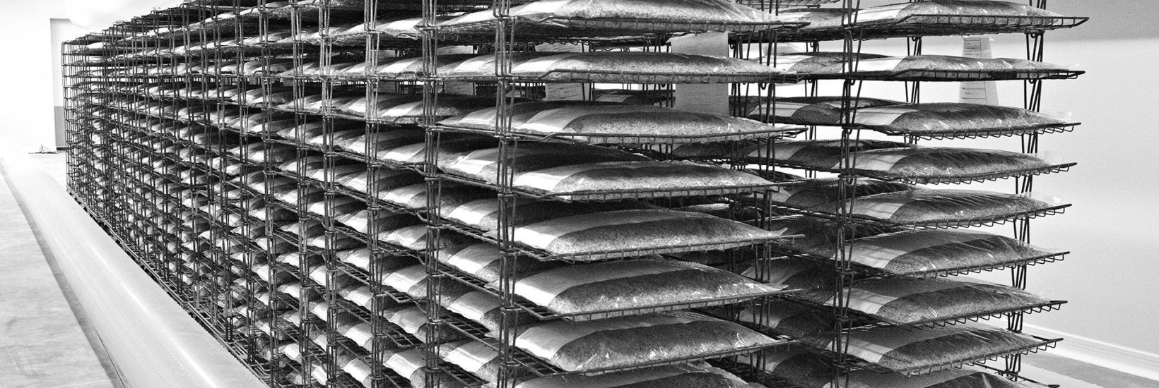 Success stories - Metaspora