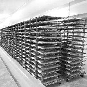 Success stories - Metaspora