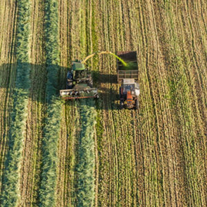 Agriculture - Metaspora